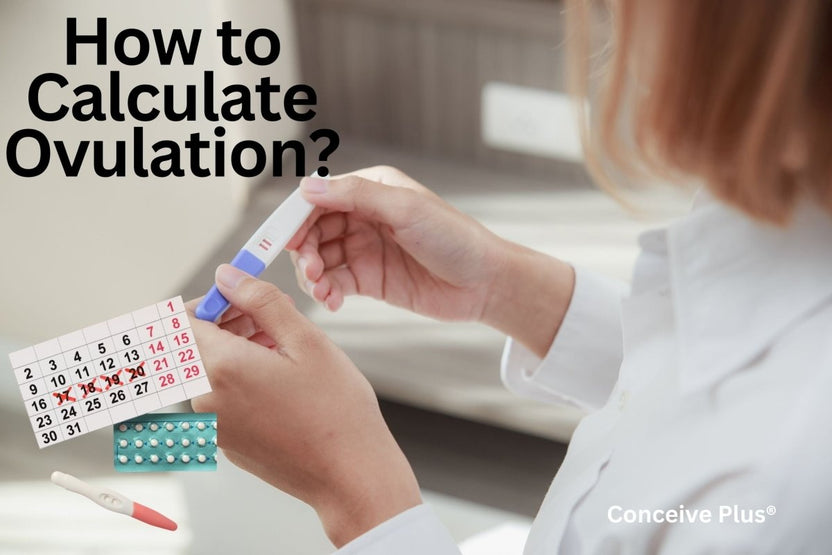 Cómo calcular la ovulación para periodos irregulares | Conceive Plus®