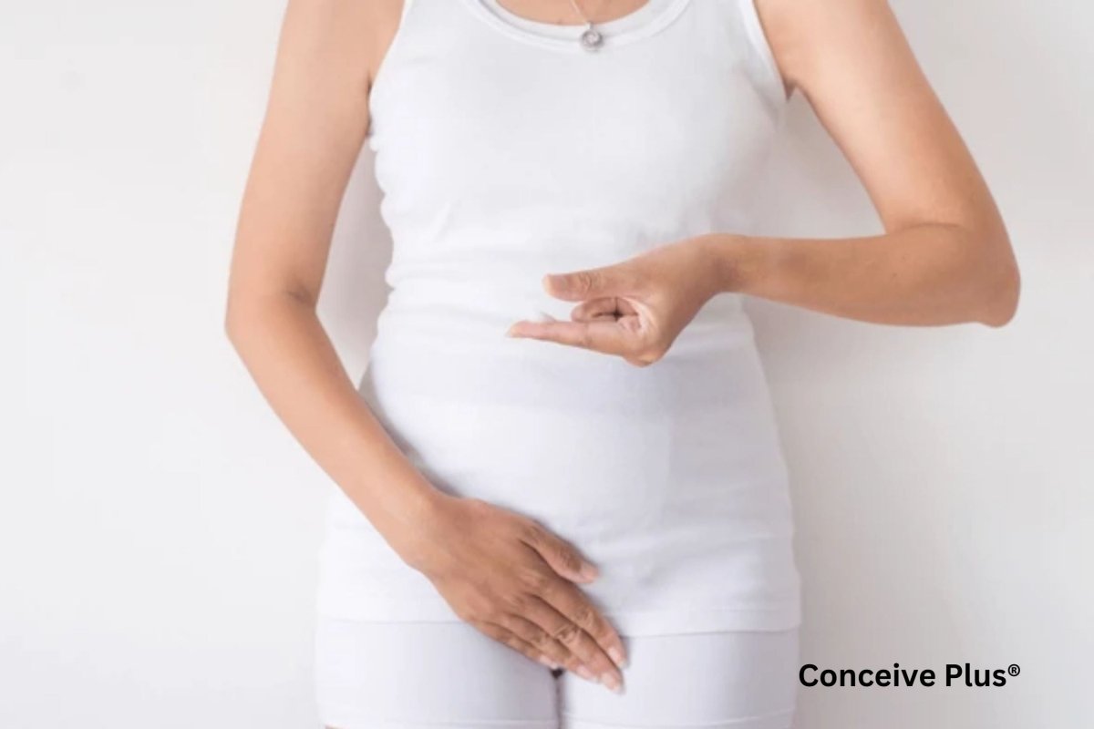 Fotos de cómo se ve el flujo vaginal durante el embarazo | Conceive Plus®